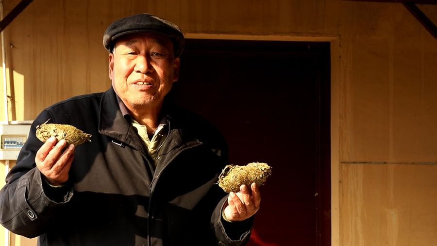 Craftsman uses panda poop for traditional papermaking-China Story